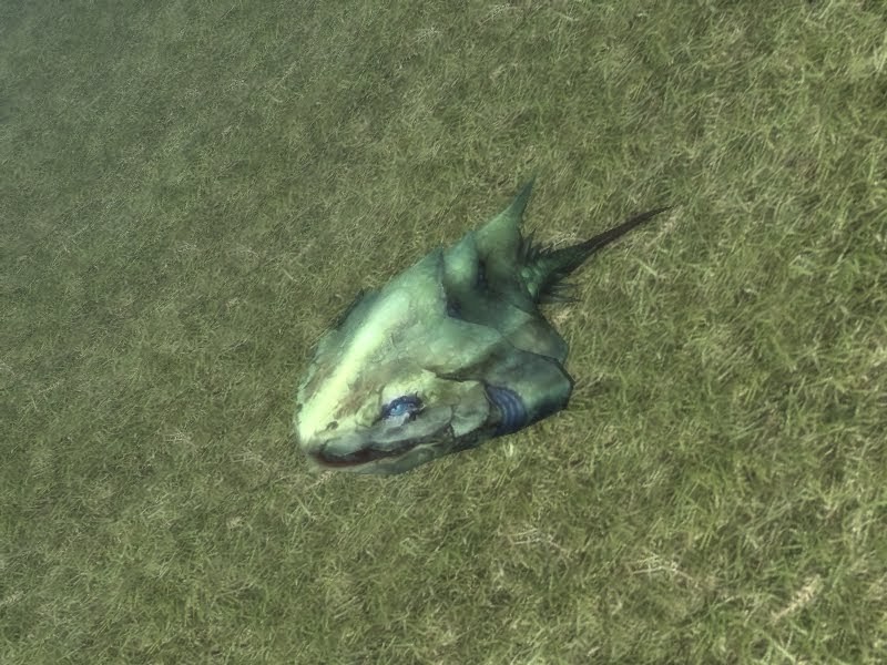 Lv Clouds Teeth | semashow.com